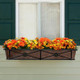 Window Boxes