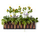 Arch Powder Coated Steel Window Box- 7 Sizes Optional Liners