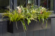Modern Black Fiberglass Window Box - 7 Sizes