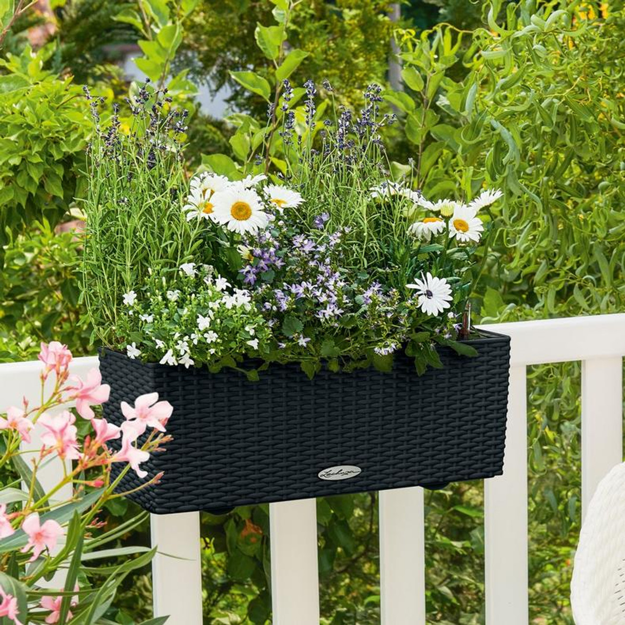 Window Boxes 101: How to Choose and Fill Flower Boxes for Instant Curb ...