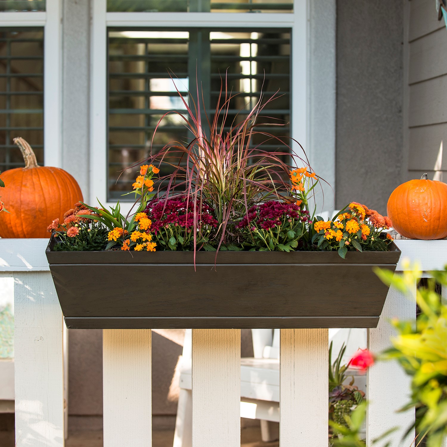 Create Cozy, Fall-Inspired Curb Appeal with Railing Planters - Hooks ...