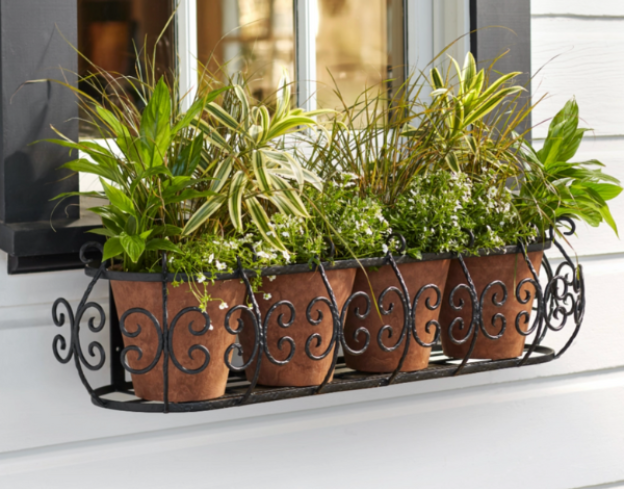 Window Boxes 101: How to Choose and Fill Flower Boxes for Instant Curb ...