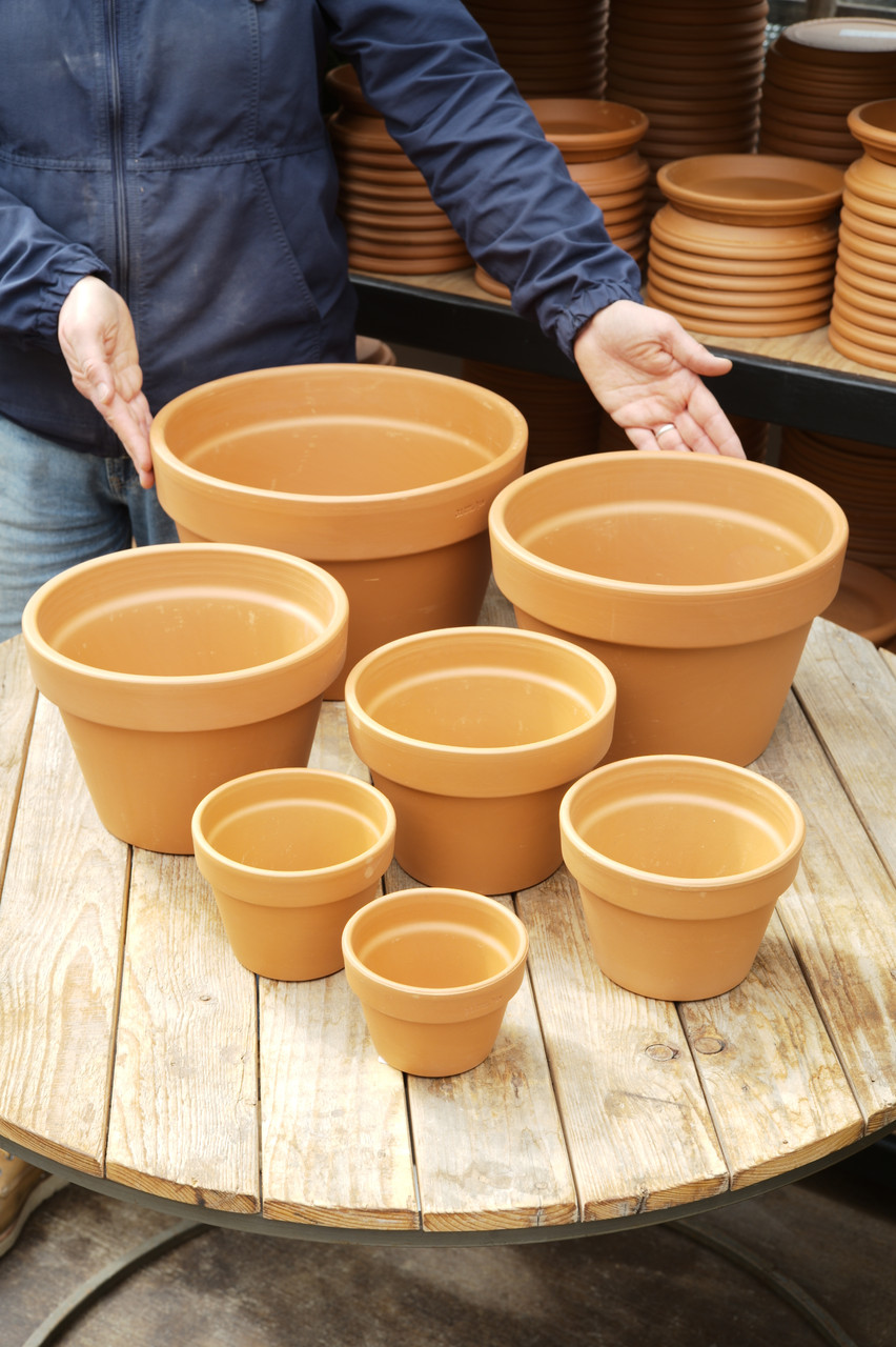 6" Italian Azalea Pot - Tonkadale