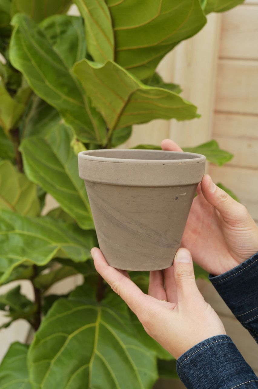 5" German Standard Pot in Basalt - Tonkadale