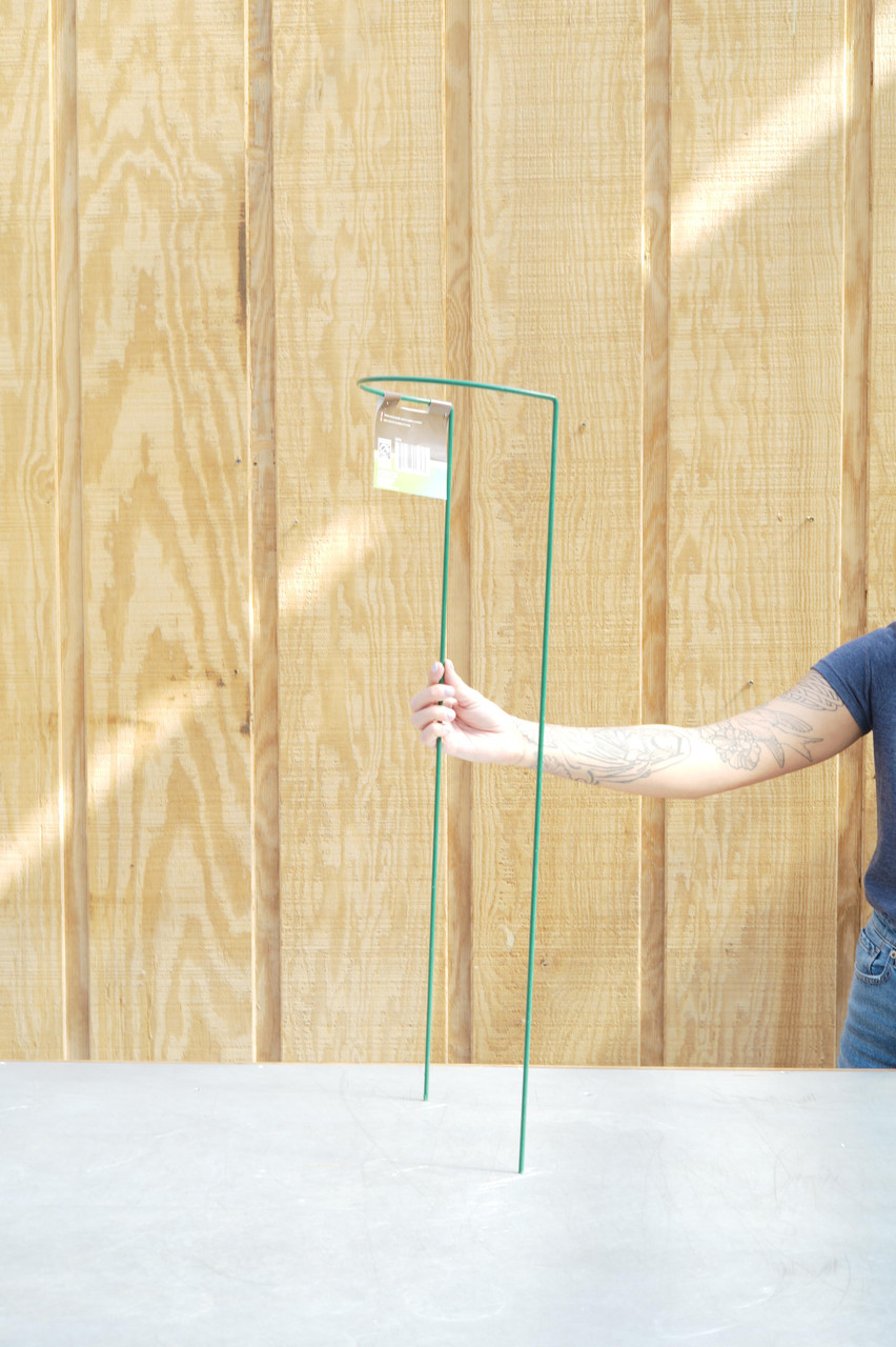 30" x 10" Half Hoop Plant Support - Tonkadale