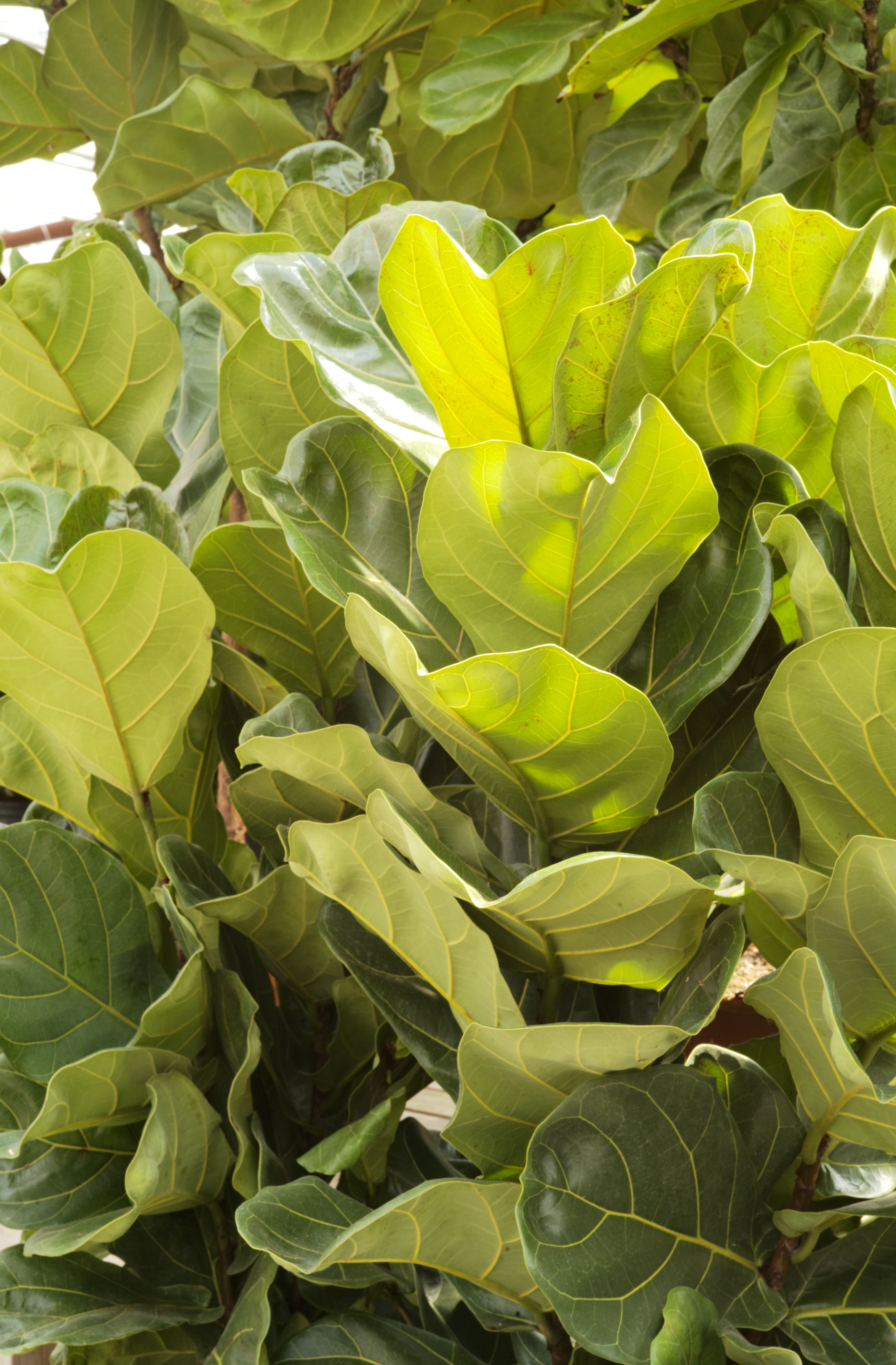 75 Things to Love About Tonkadale - Tonkadale