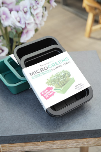 Microgreen Planter and Tray in Black - Tonkadale
