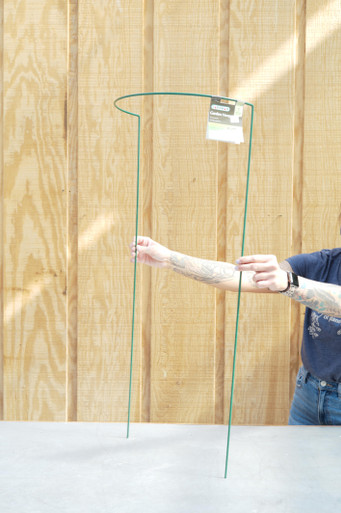 36" x 15" Half Hoop Plant Support - Tonkadale
