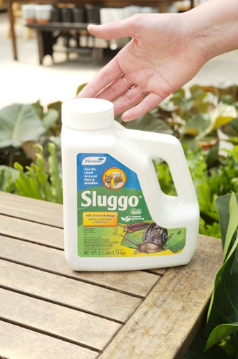 2.5 lb Sluggo Jug - Tonkadale