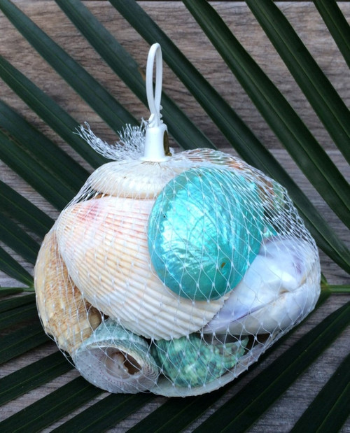 Polished Sea Shell Pack in Netting | Nautical Crush Trading