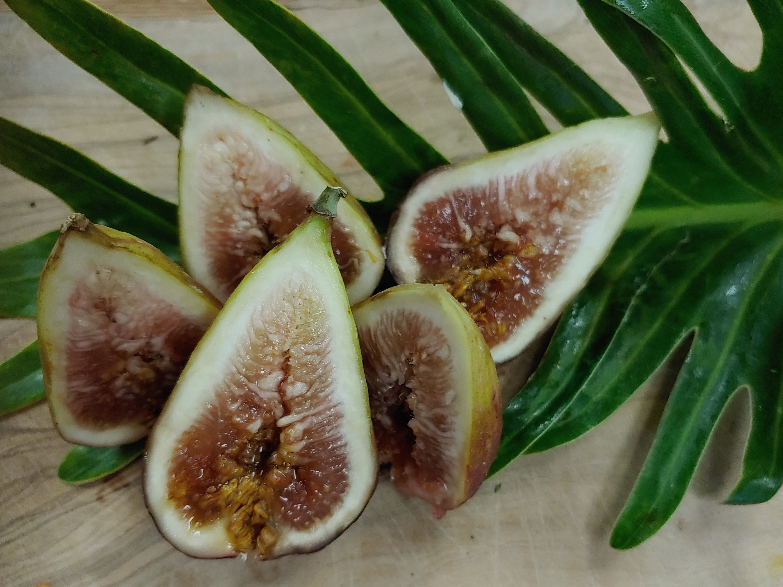 Two Olive Trees Come Taste The Freshness