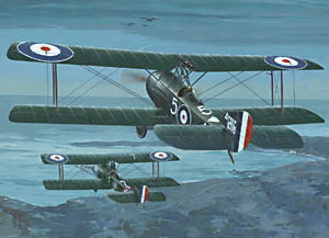 Sopwith 1 1/2 Strutter 1/48 Roden