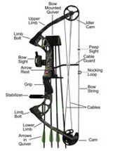 Compound bow for beginners store