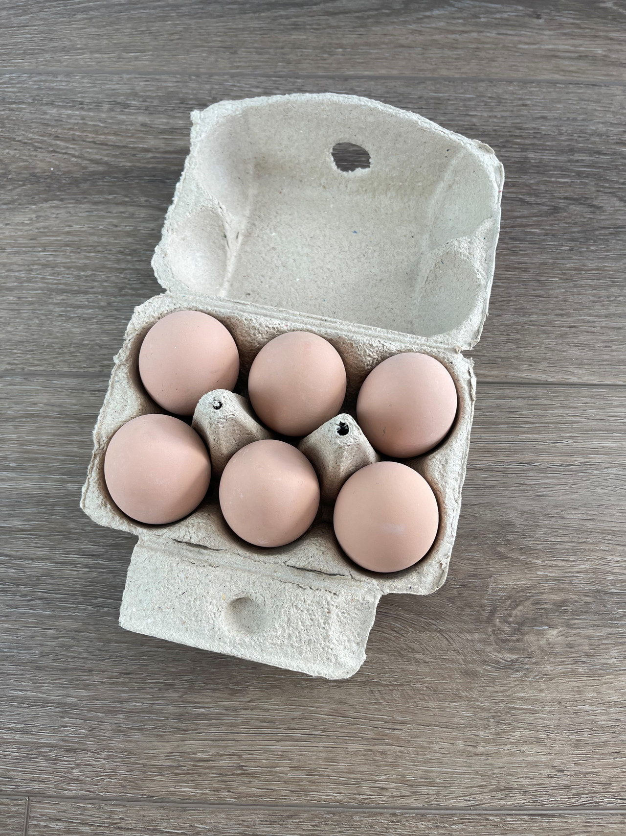 Blank Split Six-Egg Paper-Pulp Egg Carton | Compostable Paper/Cardboard ...