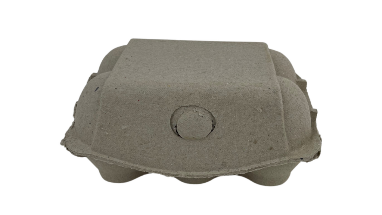 Blank Split Six-Egg Paper-Pulp Egg Carton | Compostable Paper/Cardboard ...
