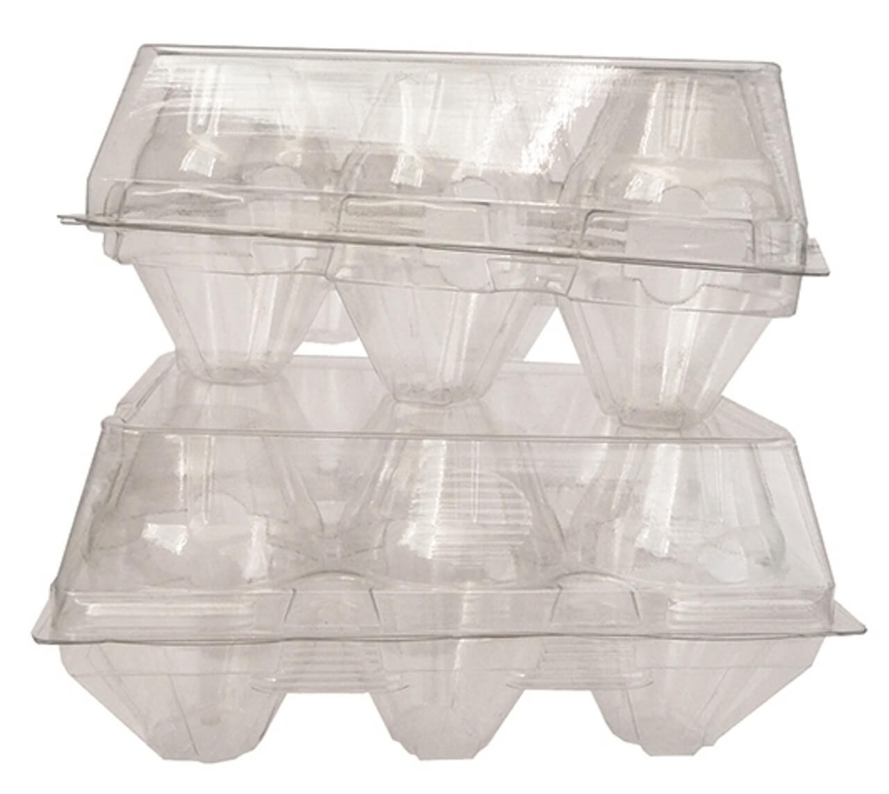 Jumbo Cell Split 6-Egg Clear Plastic Carton | PET 1 Recyclable Plastic