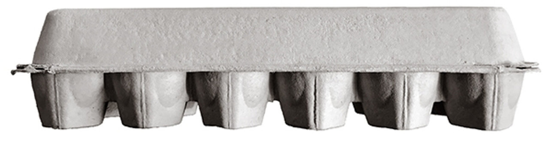 Blank 12-Egg Flat top Style Paper-Pulp Compostable Egg Carton