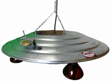 Canopy Electric Brooder