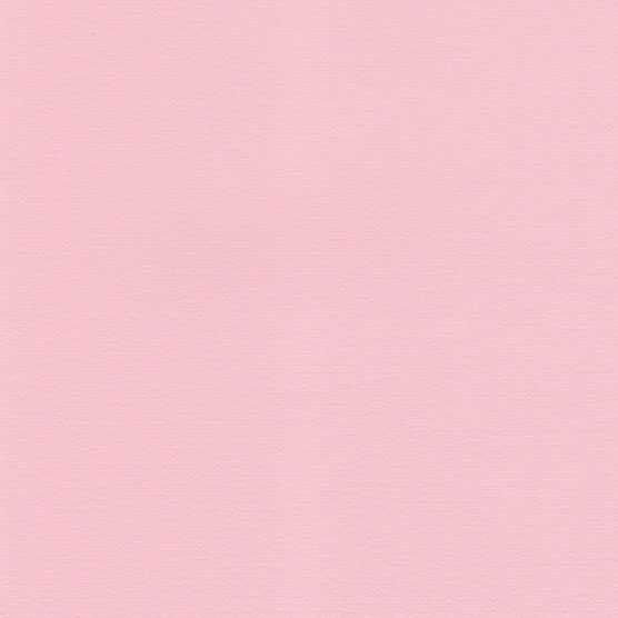 Light Pink Envelope for Weddings | Sterling Stripes