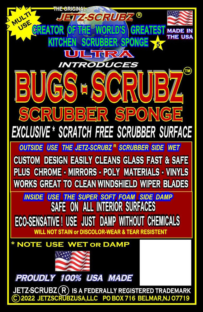 Jetz-Scrubz® Bugs-Scrubz Auto Glass Windshield Scrubber Sponge, Pack of ...