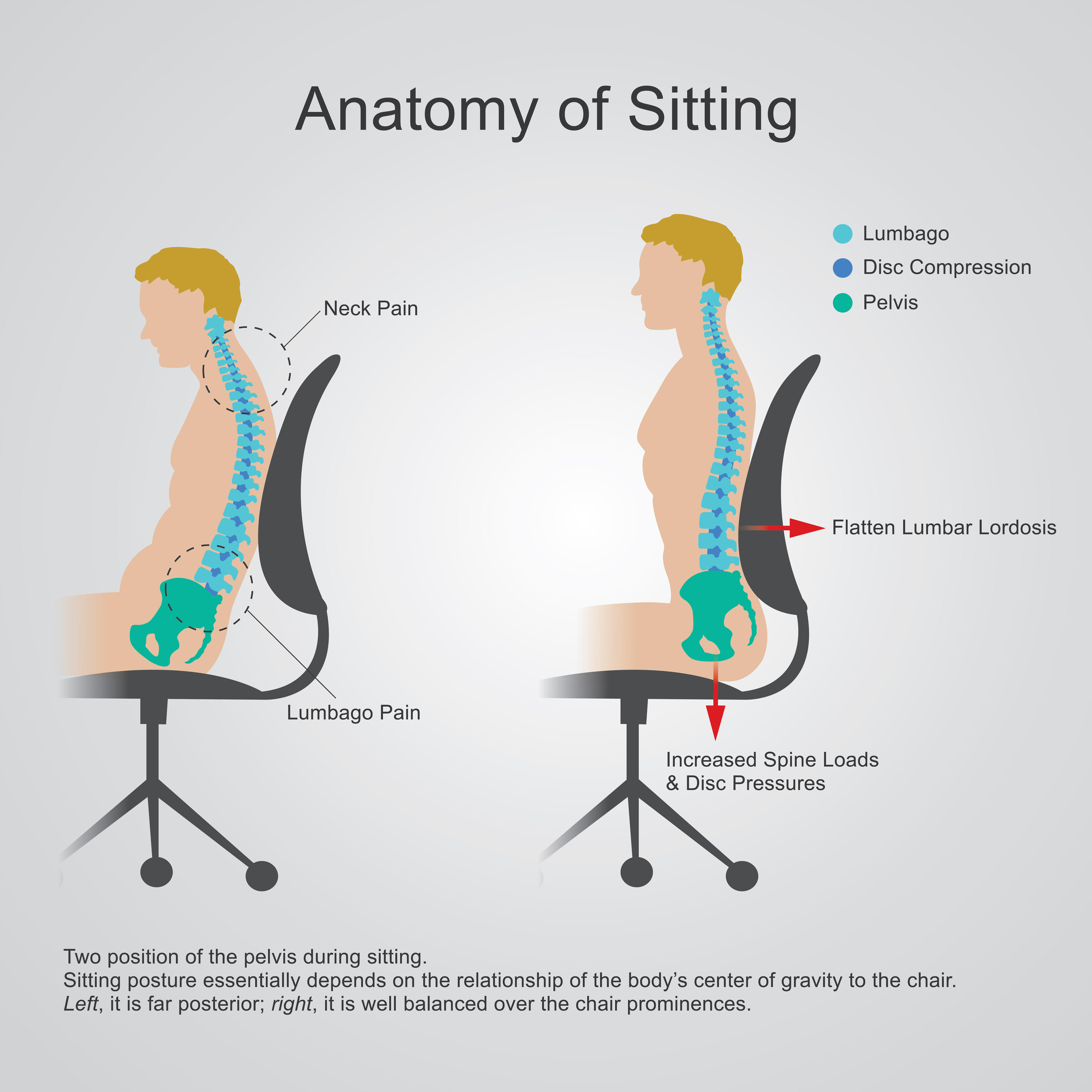 What Is The Proper Ergonomics For Sitting At A Desk? - Office Anything