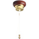 Polished Brass Ceiling Light Switch - Federation Style - 54 TFPBCS ...