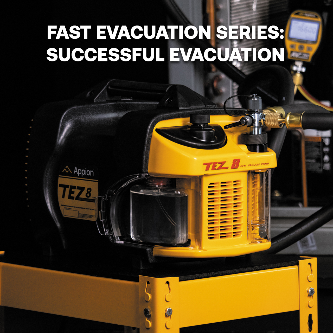 Fast Evacuation Series: Successful Evacuation - Appion