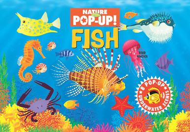 Nature Pop Up Fish - PlayMatters Toys