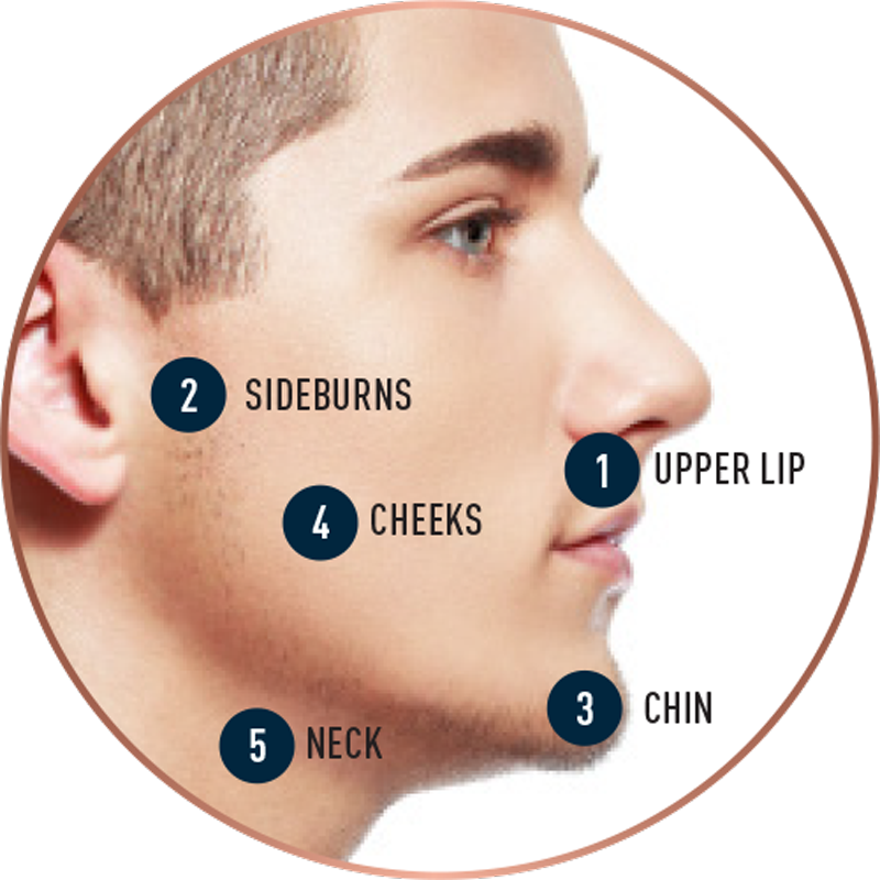 Beard Growth Science Stages of Beard Growth Gillette on Demand