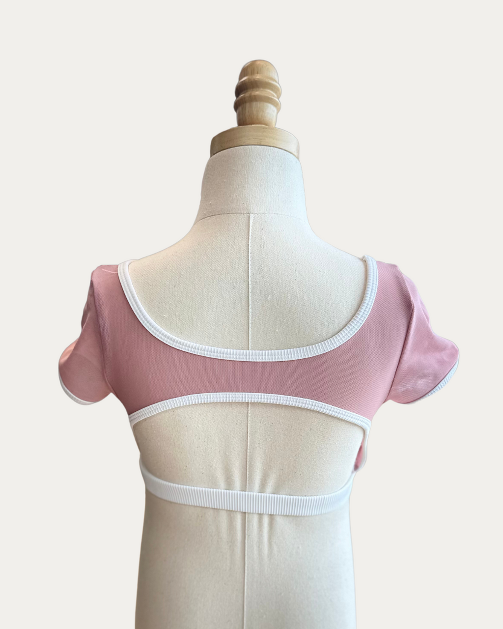 Retro Mesh Crop Top - Pink - Backstage Dancewear & Gifts