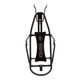 Rear Bike Racks - Bicycle Cargo Racks | Planet Bike