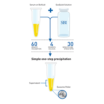 ExoQuick-TC | EXOTC10A-1, EXOTC50A-1