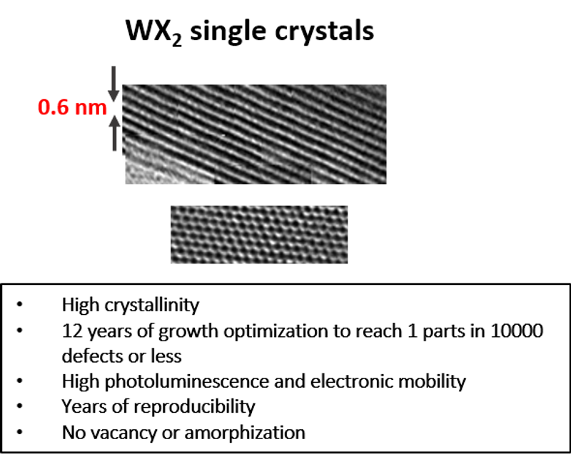 WS2 Crystal | 2D Semiconductors