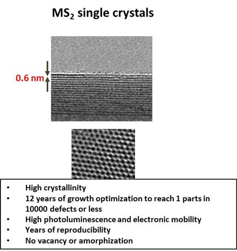 MoSe2 Crystal | 2D Semiconductors