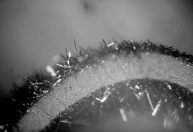 ZrS3 Nanosheets | 2D Semiconductors USA