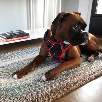 Driftwood Multi Tweed Rugs | Colonial Mills