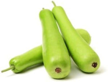 Buy Fresh Opo squash/ calabashIndian/bottle gourd Shop Online, fresh ...