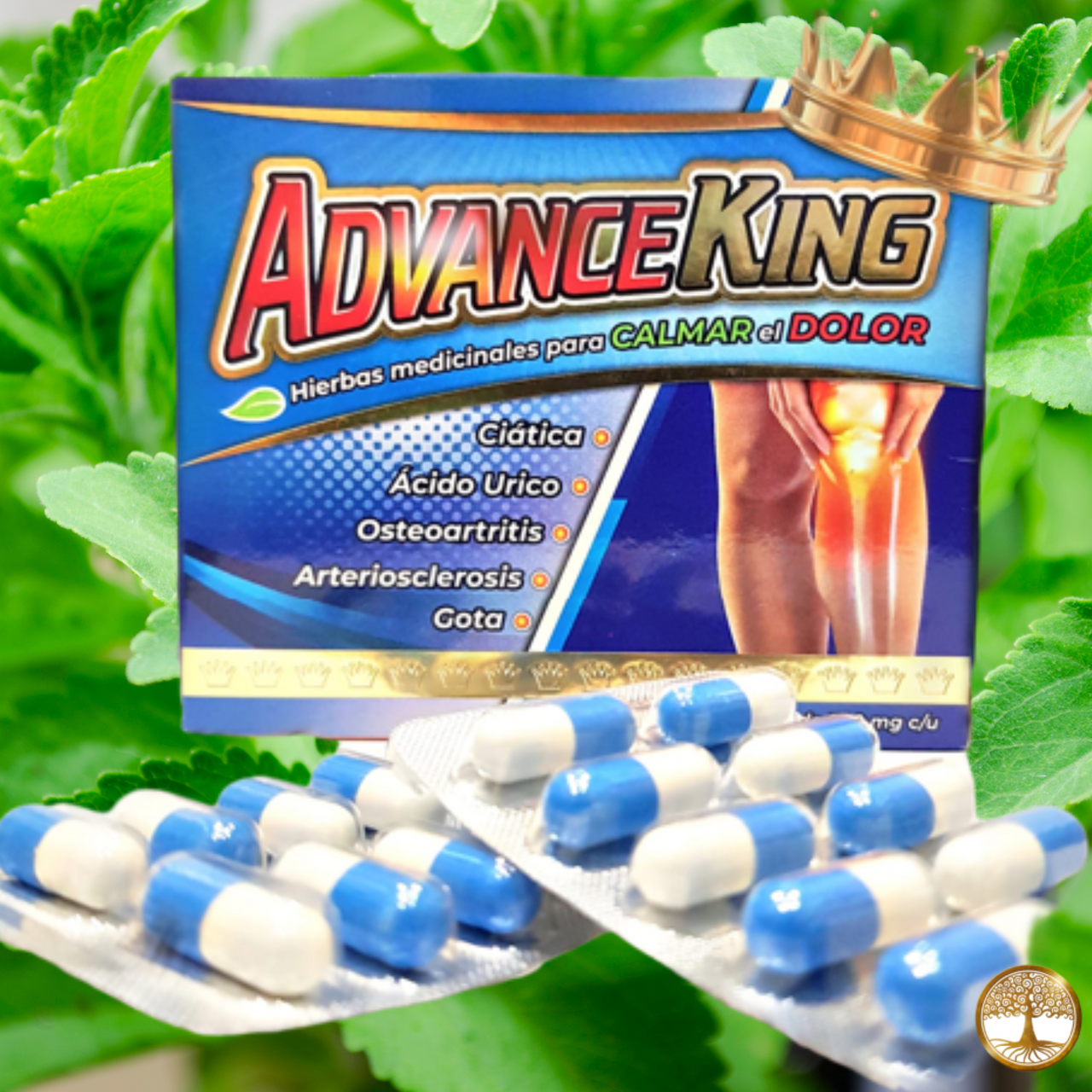 Naturista Store Brands