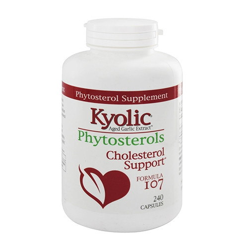 Kyolic Formula 107 Phytosterols Aged Garlic Extract Capsules, 240 Ea ...