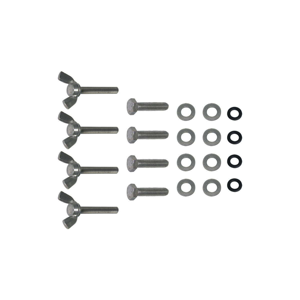 Replacement Wing Bolt Kit for 2000/10 : Contains