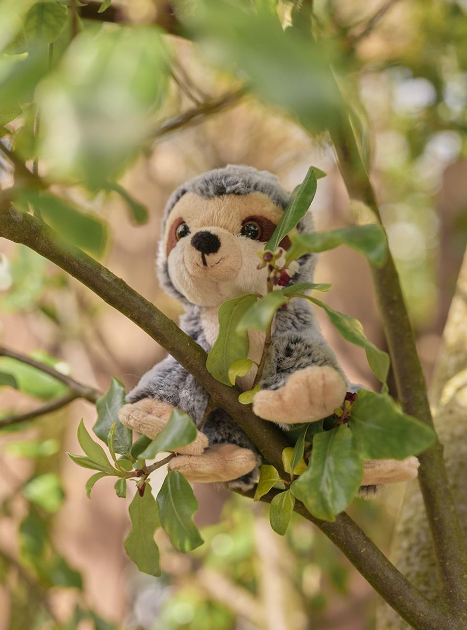 Cuddle Cub Sloth |Sweet & Huggable Bear | Charlie Bears, UK