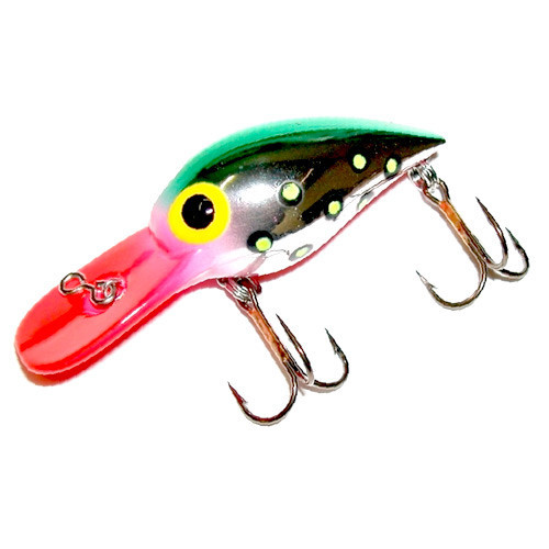 Brad’s Wee Wigglers