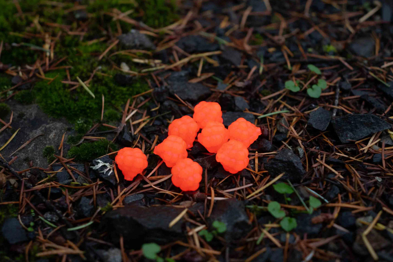 VIP Outdoors Soft Egg Cluster