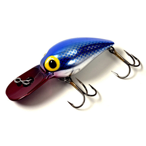 Brad's Wigglers