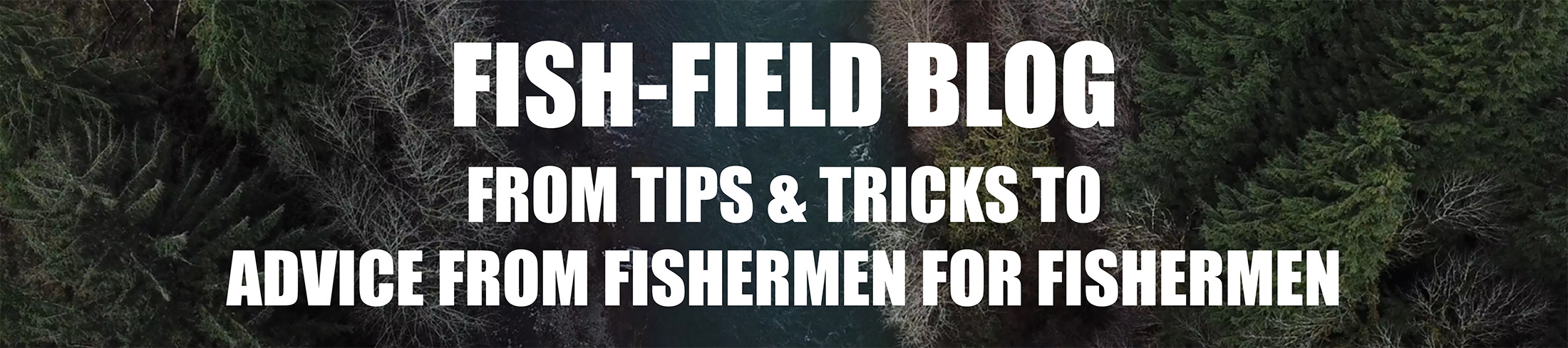 Blog - Fish-Field