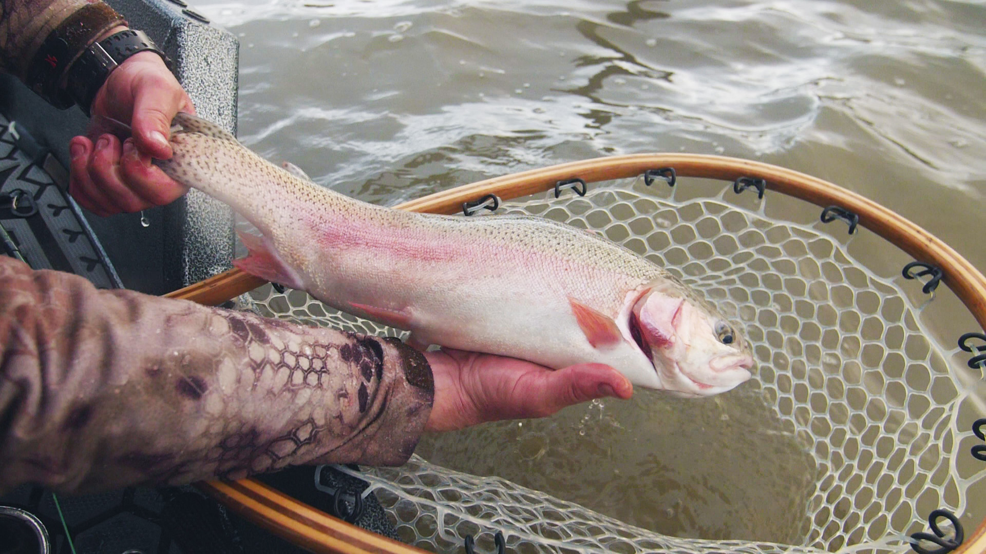 Early Spring Trout Trolling - Fish-Field