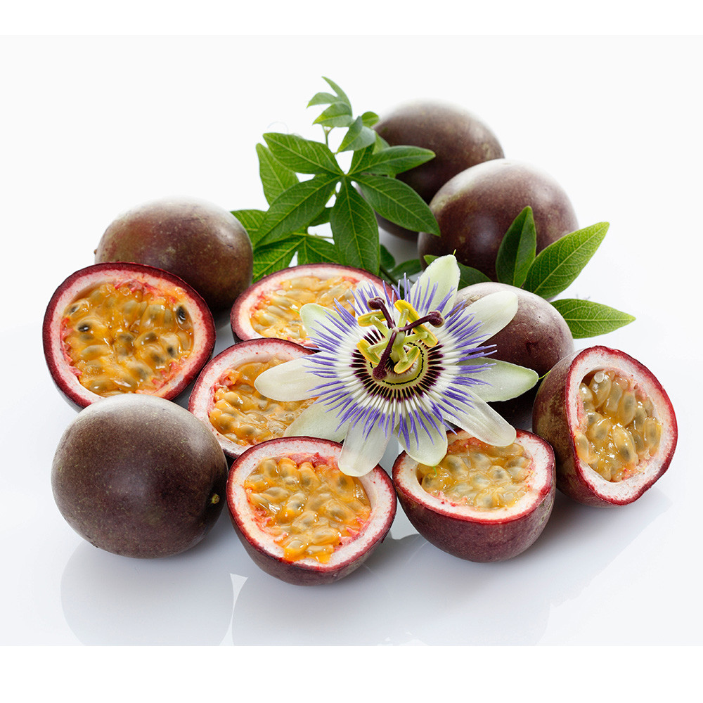 Buy Passiflora Edulis | J Parker Dutch Bulbs