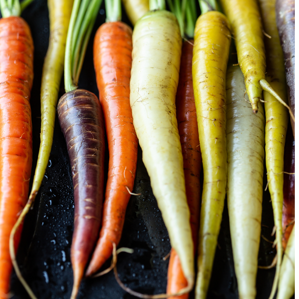 Shop Carrot Rainbow Mix Seeds | J. Parker's Dutch Bulbs