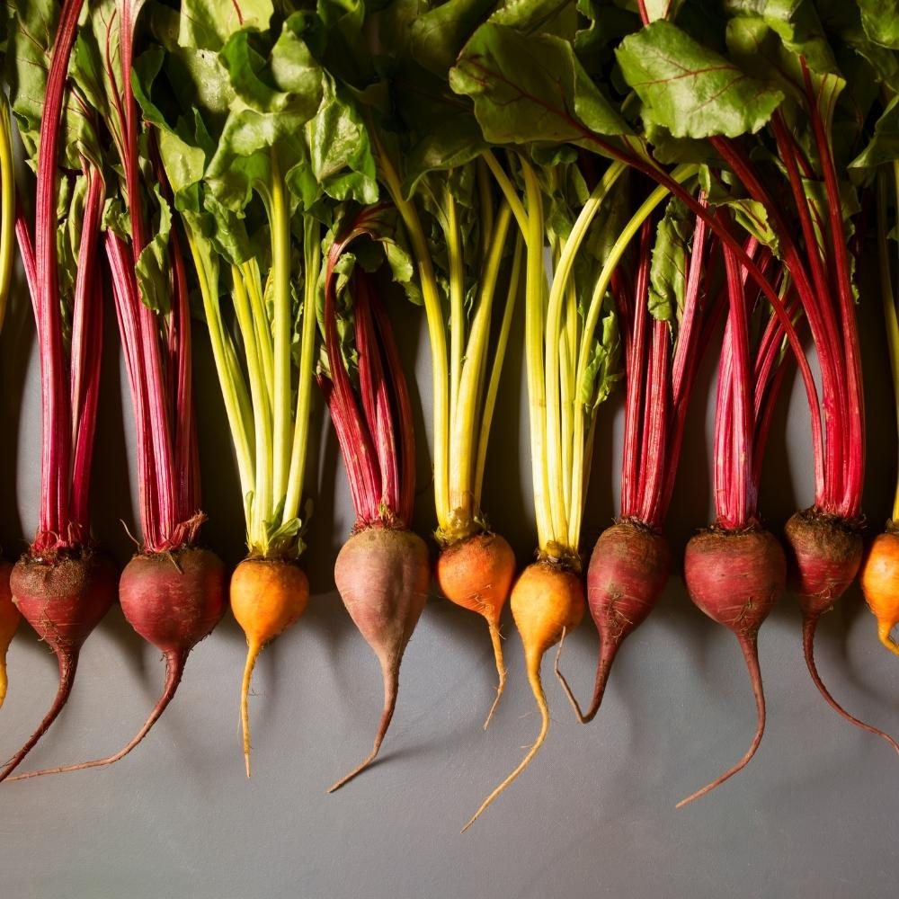 Buy Beetroot Rainbow Mix seeds at jparkers.co.uk