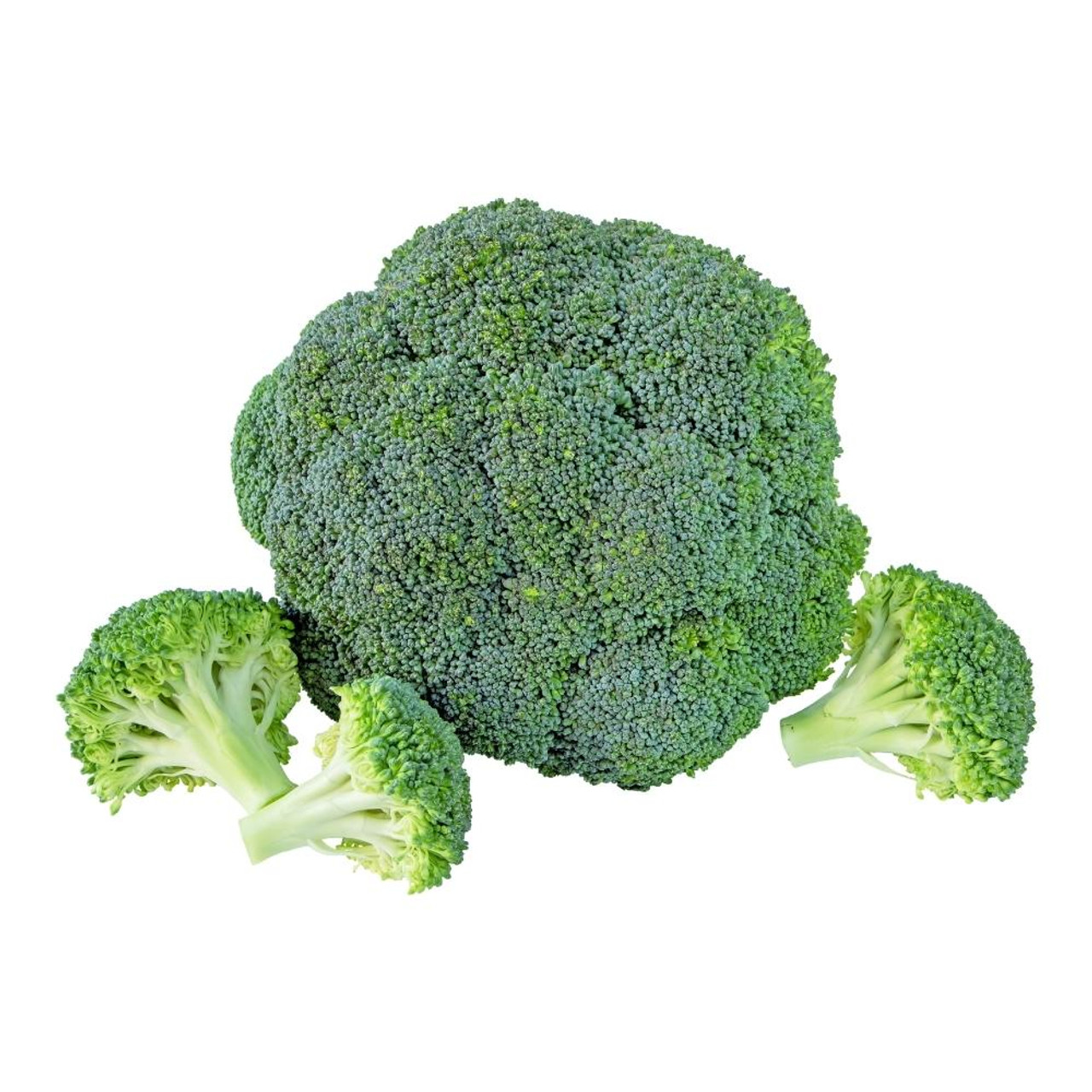 Buy Broccoli Calabrese Stromboli F1 seeds at jparkers.co.uk